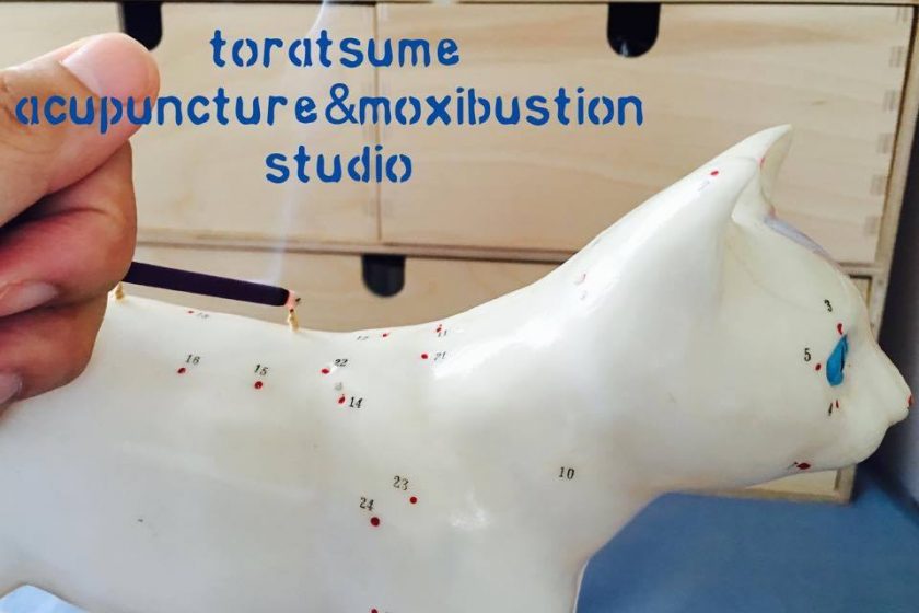 NADA JAPANメンバー治療所一覧 – 一般社団法人NADA JAPAN