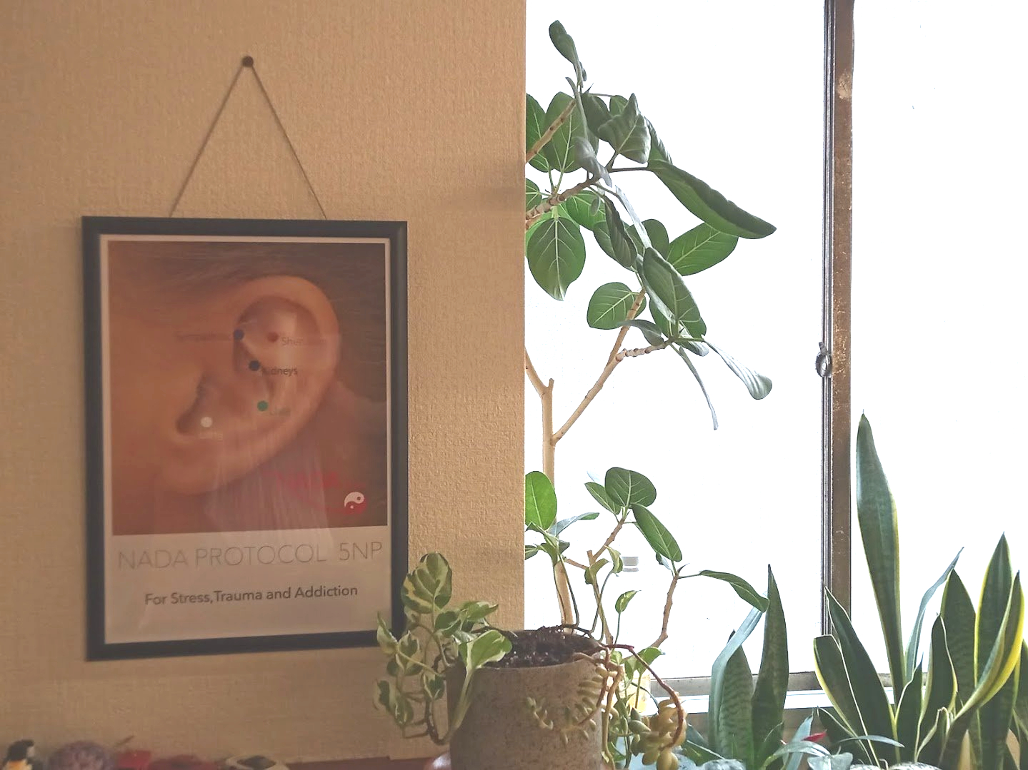 川崎ダルクさんでの活動が4年目に突入！ – 一般社団法人NADA JAPAN